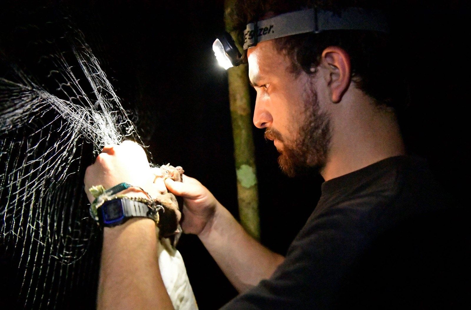 Experto internacional llega a la Universidad de Caldas gracias al ICETEX